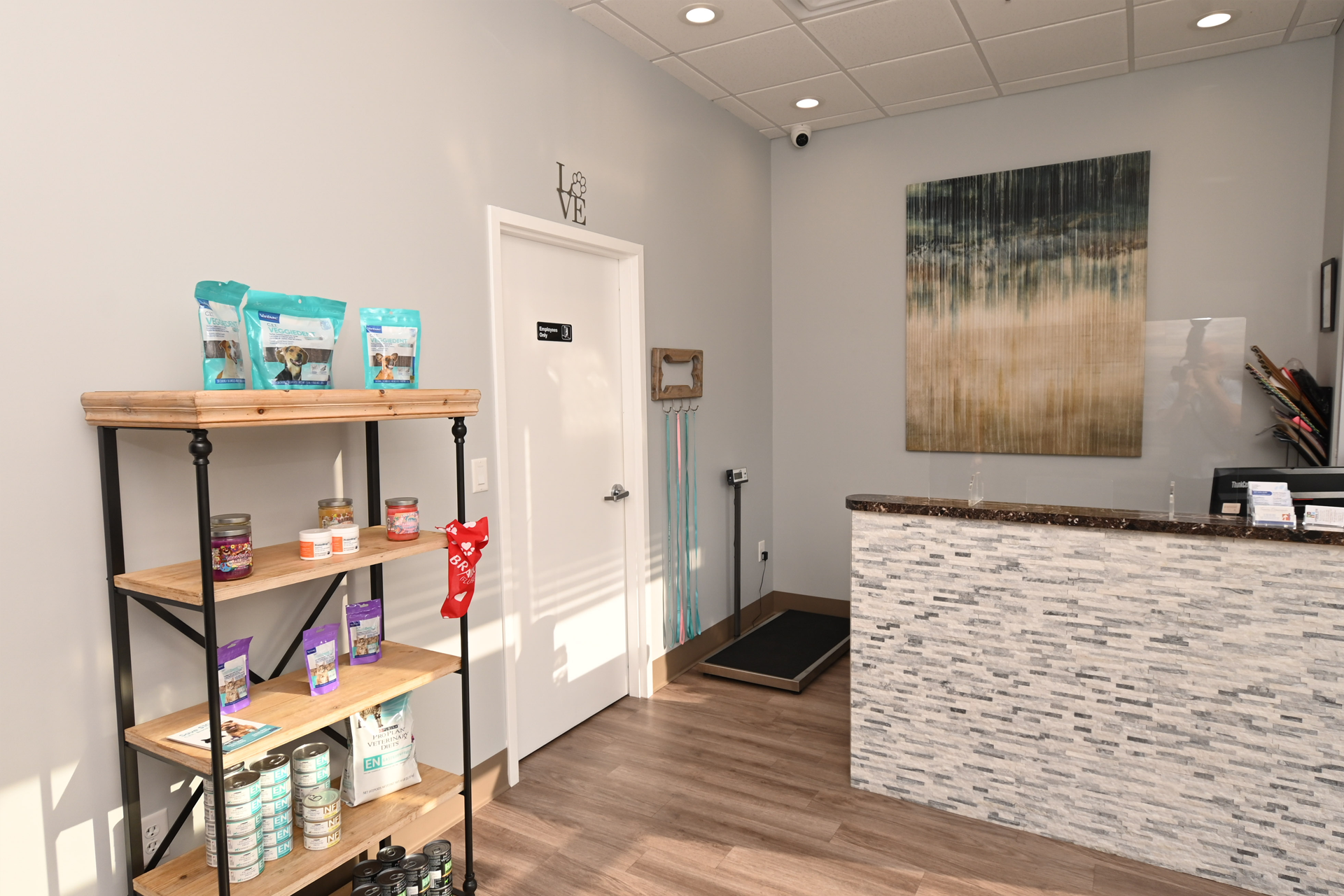 About Tavares Crossroads Veterinary Clinic | Vet In Tavares, FL